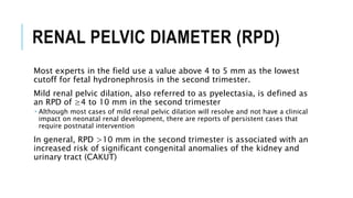 Nuclear nephrology | PPTX