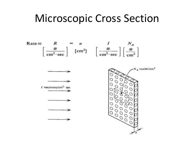 Nuclear physics 3 lectures