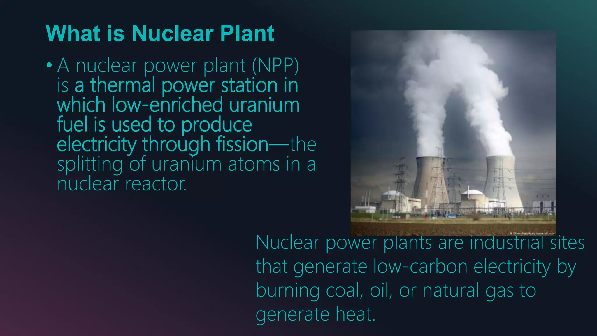 NUCLEAR PLANT.pptx