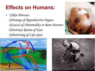 Nuclear pollution | PPTX