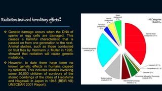 Nuclear Pollution And Genetics | PPTX