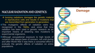 Nuclear Pollution And Genetics | PPTX