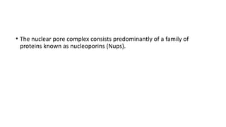 Nuclear Pore Complex (NPC) and its importance.pptx