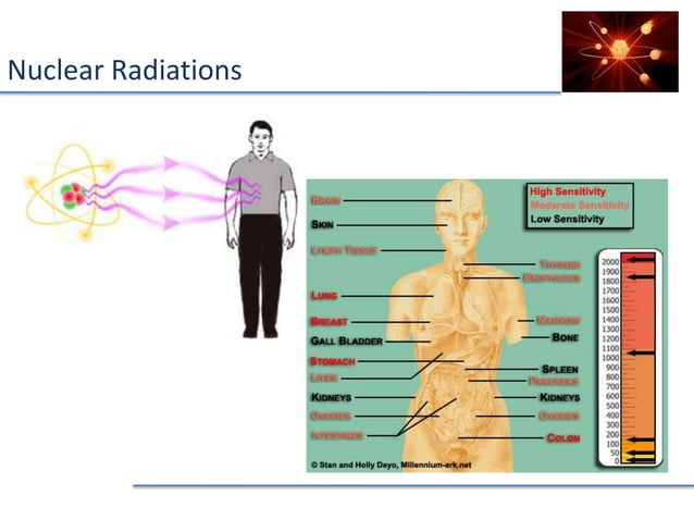 Negative Impacts of Nuclear Power | PPTX