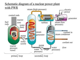 Nuclear Reactor Diagram Animation
