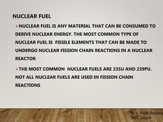 Nuclear power plant | PPTX