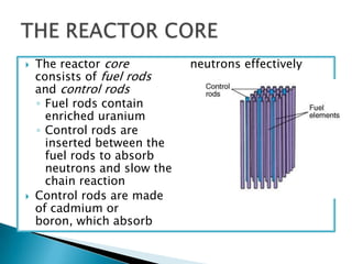 Nuclear power plant parmmax | PPTX | Power and Energy Industry | Industries