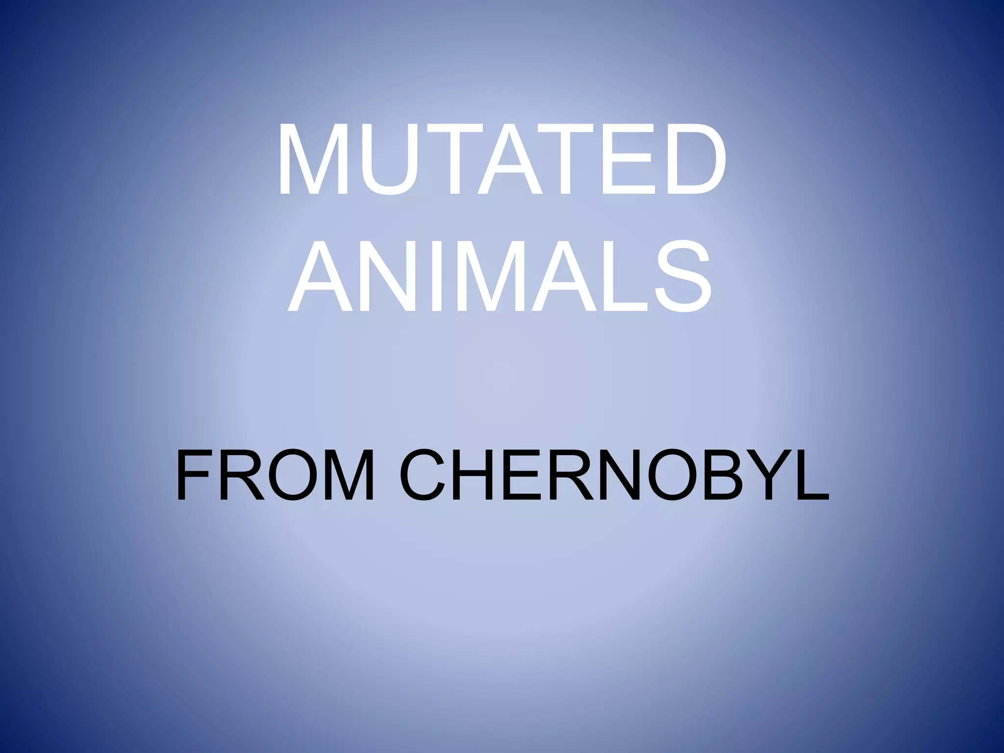 CHERNOBYL NUCLEAR POWER PLANT DISASTER | PPTX