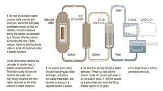 Nuclear power plant pwi u3 | PPT