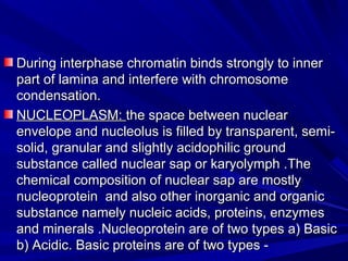 Nuclear ppt3 | PPT