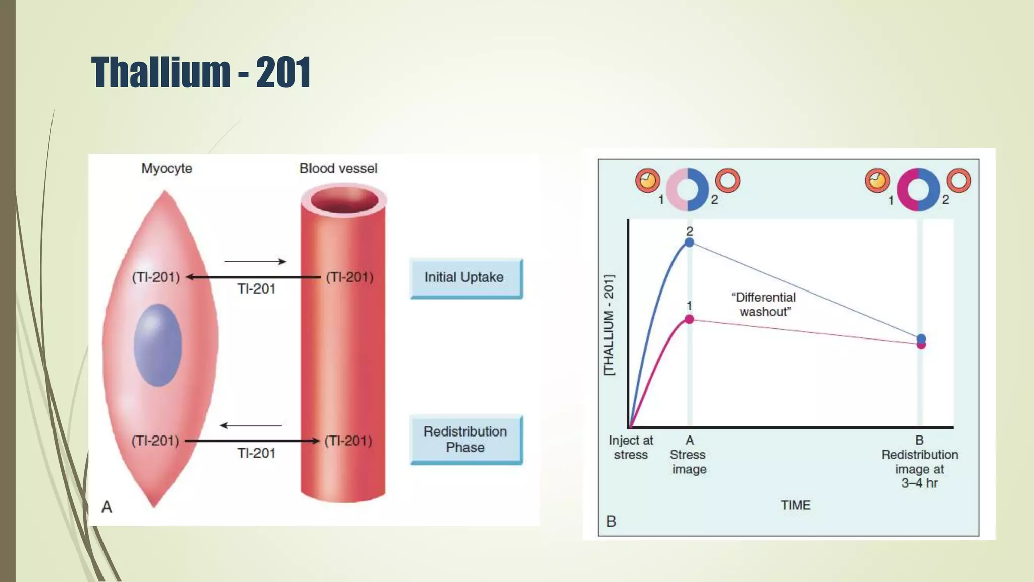 Nuclear Radiology.pptx