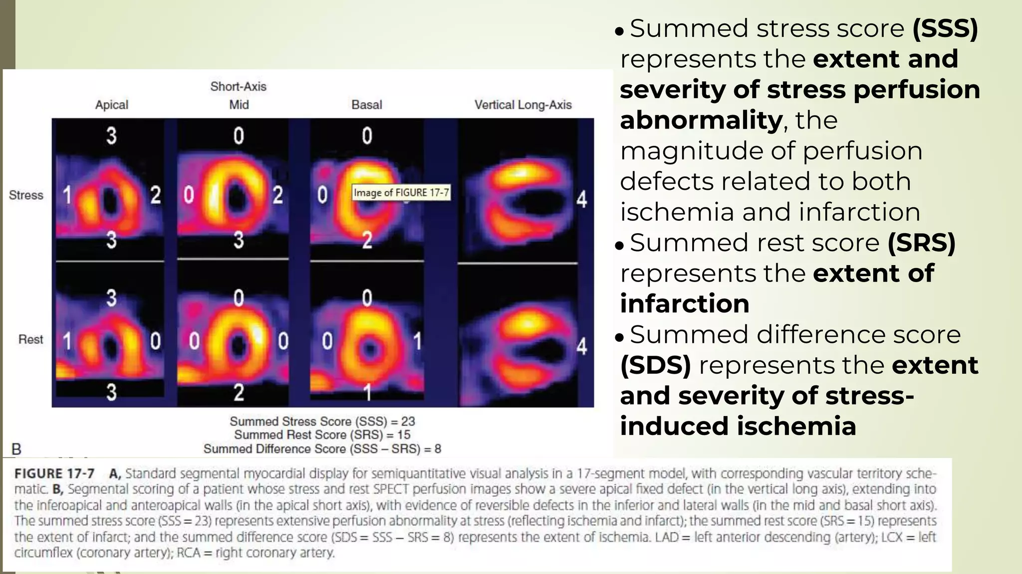 Nuclear Radiology.pptx