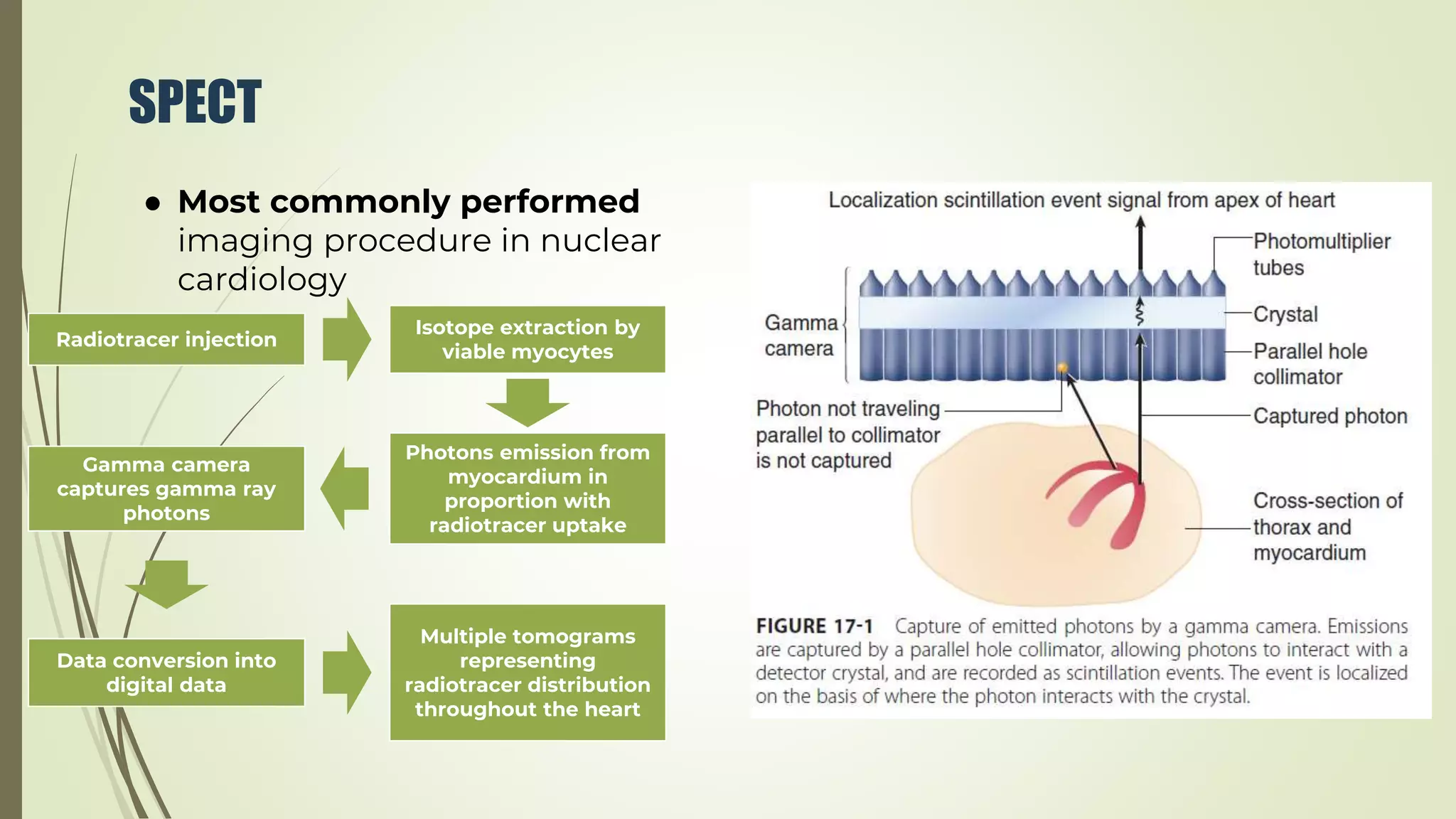 Nuclear Radiology.pptx