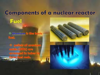 Nuclear reactor | PPTX