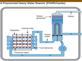 Nuclear reactor | PPTX