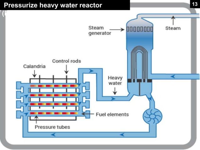 Nuclear reactor anupam | PPTX