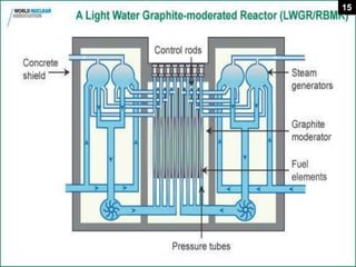 Nuclear reactor anupam | PPTX
