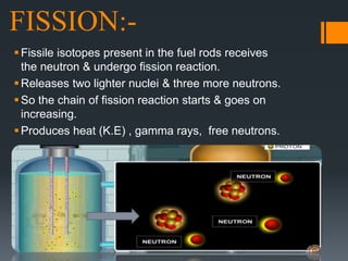Nuclear reactors to produce electricity | PPTX