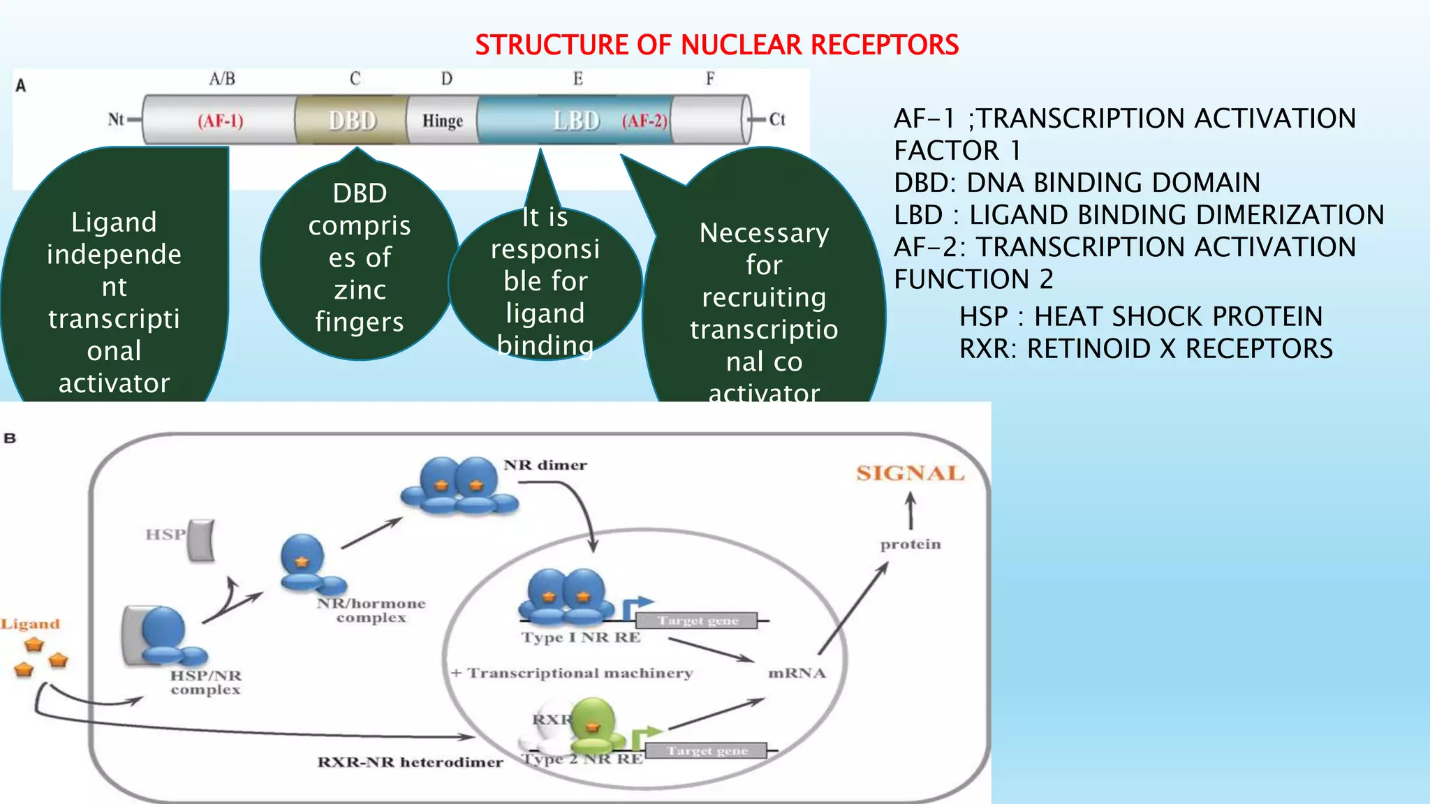 Nuclear receptor | PPTX