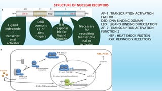 Nuclear receptor | PPTX