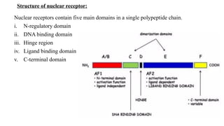 NUCLEAR RECEPTOR (molecular biology)ppt. | PPTX