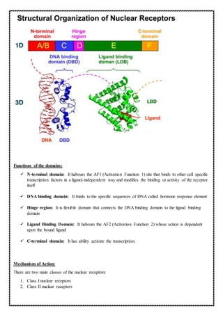 Nuclear receptors and chemical action in cns | DOCX