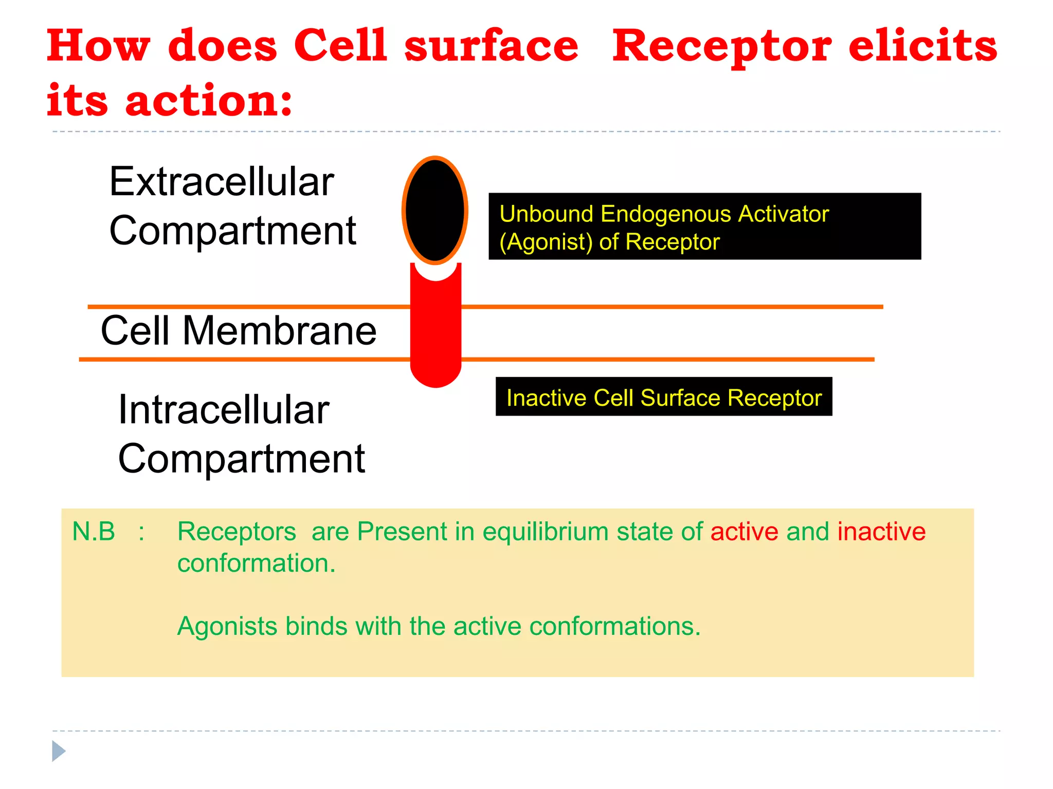 Nuclear receptors as target of new drug therapy | PPT