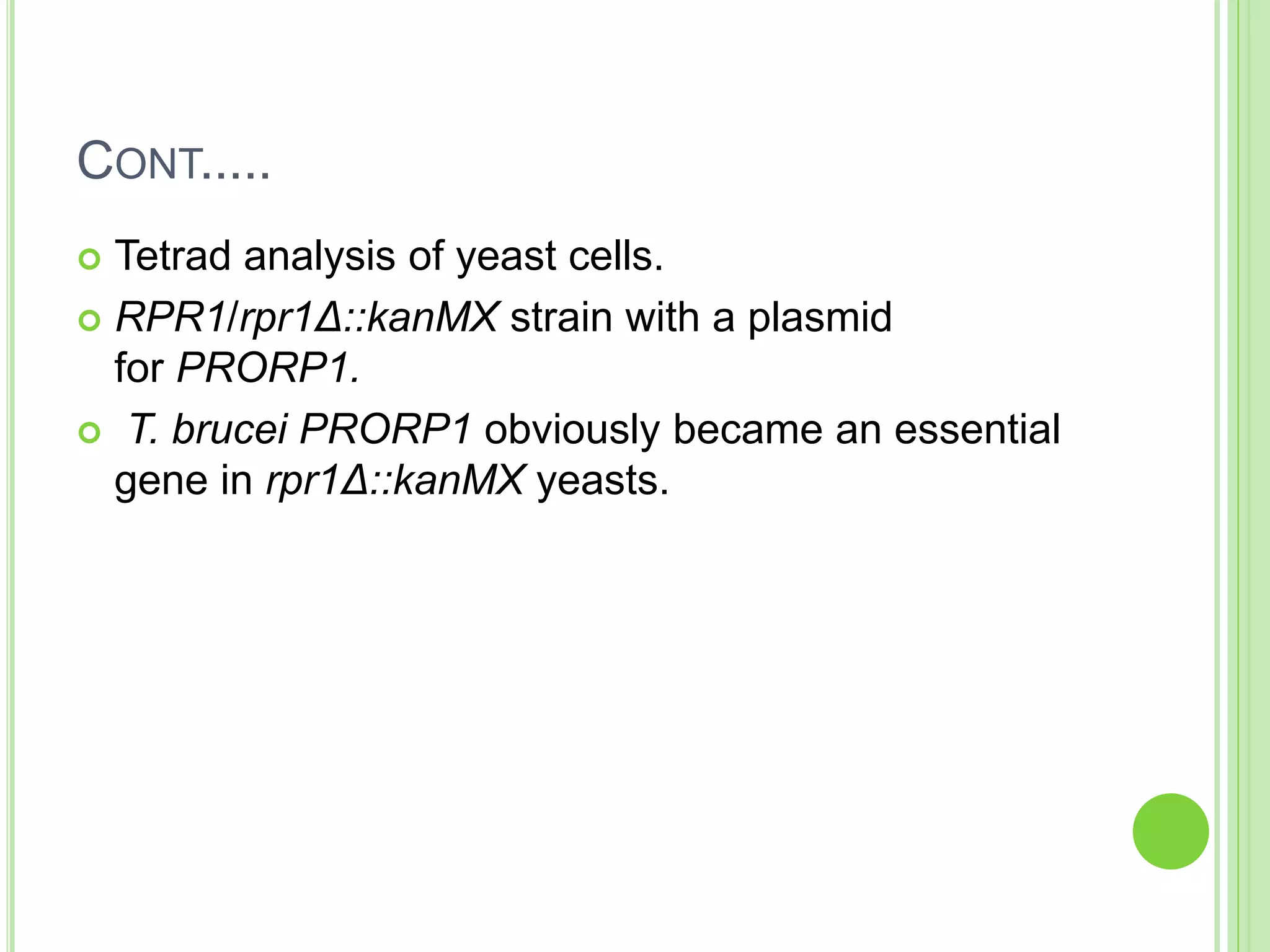 Nuclear RNase P of Trypanosoma brucei | PPTX