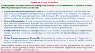 Nuclear Structure and Dynamics | PDF