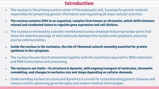 Nuclear Structure and Dynamics | PDF