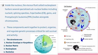 Nuclear Structure and Dynamics | PDF