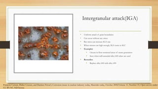Nuclear systems corrosion | PPTX