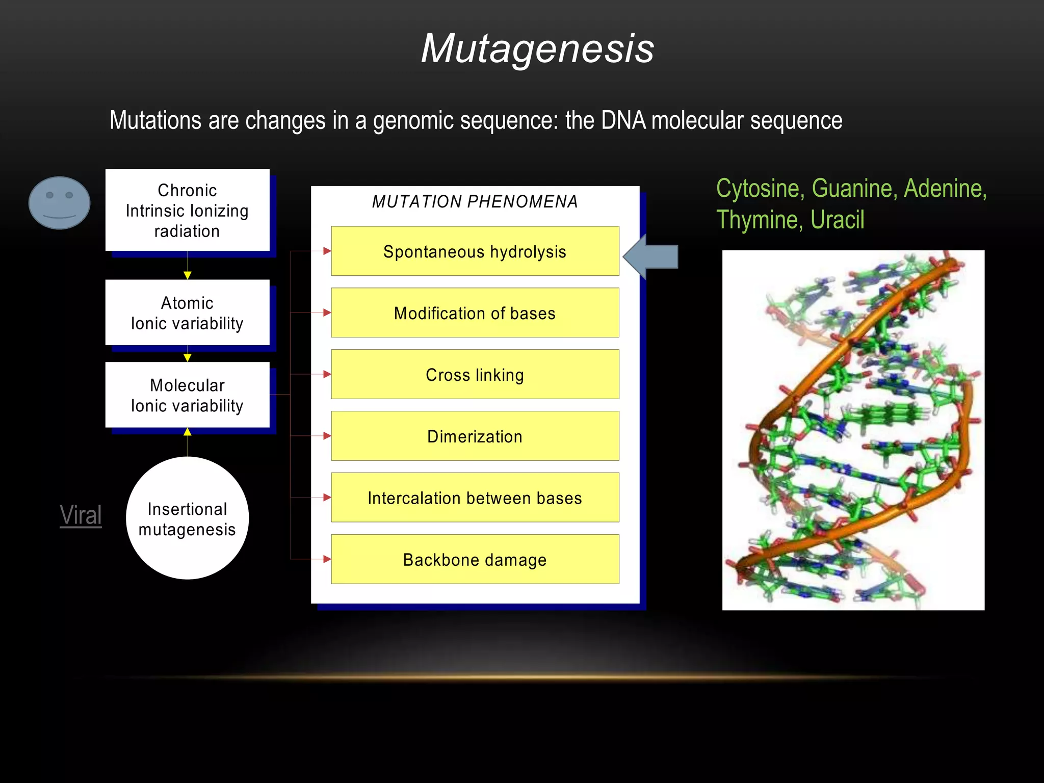 From the causality of Nuclear transmutation to Genomic mutation | PPTX ...