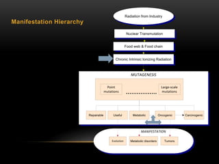 From the causality of Nuclear transmutation to Genomic mutation | PPTX ...
