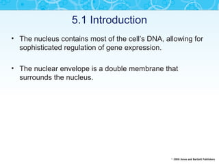 Nuclear transport | PPT