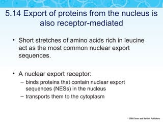 Nuclear transport | PPT