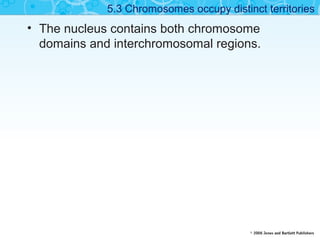 Nuclear transport | PPT