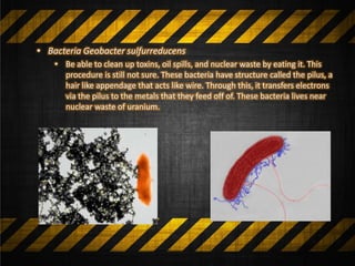 Nuclear waste | PPTX
