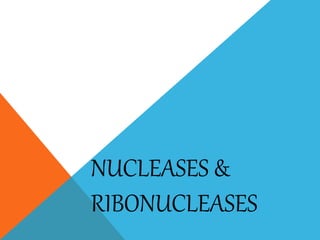 Nucleases | PPTX