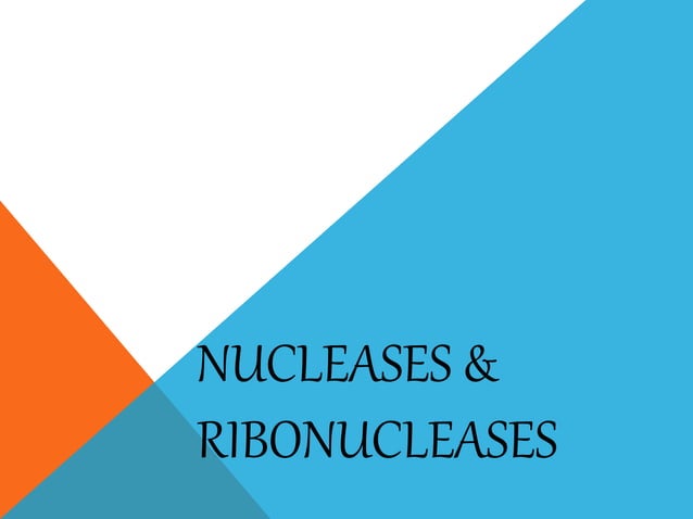 Nucleases | PPTX