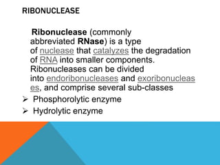 Nucleases | PPTX