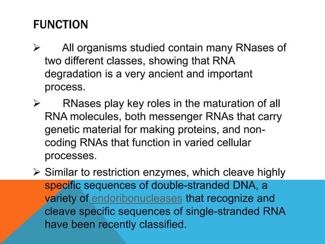 Nucleases | PPTX