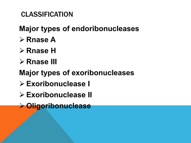 Nucleases | PPTX