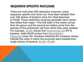 Nucleases | PPTX