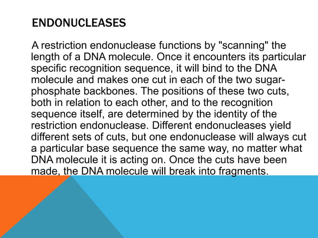 Nucleases | PPTX