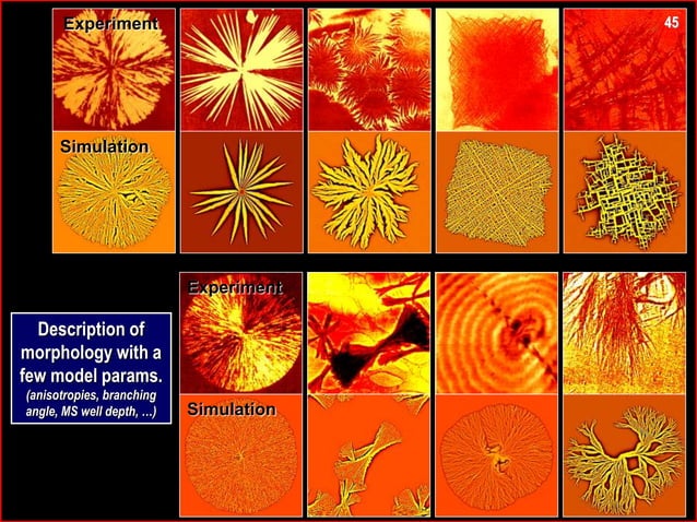 Phase-field modeling of crystal nucleation II: Comparison with ...