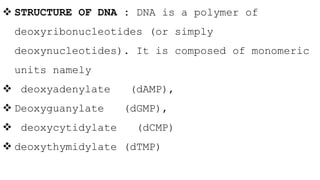 Nucleic acids.pppppppppppppppppptttttttt | PPT