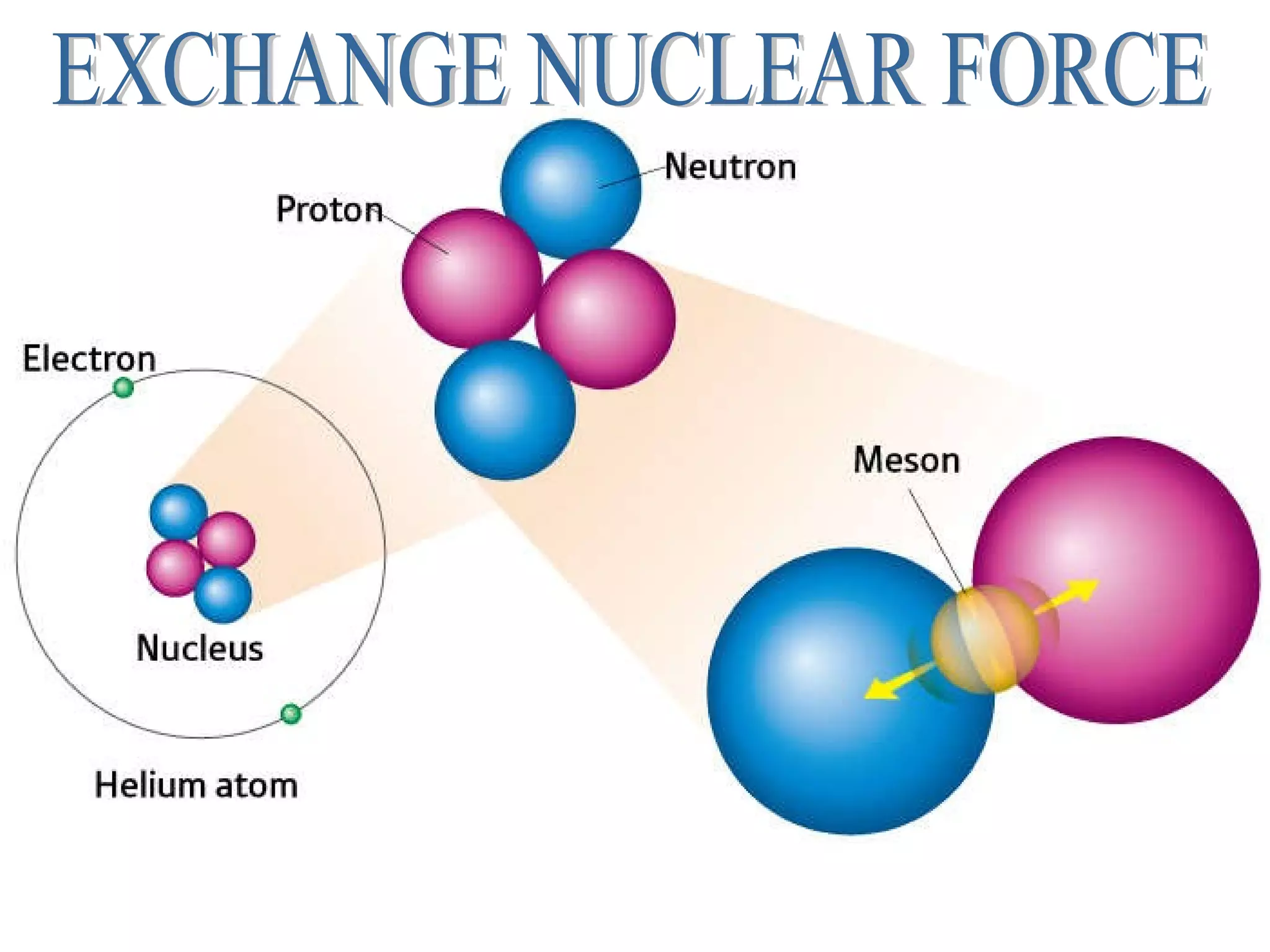 Nuclei | PPT