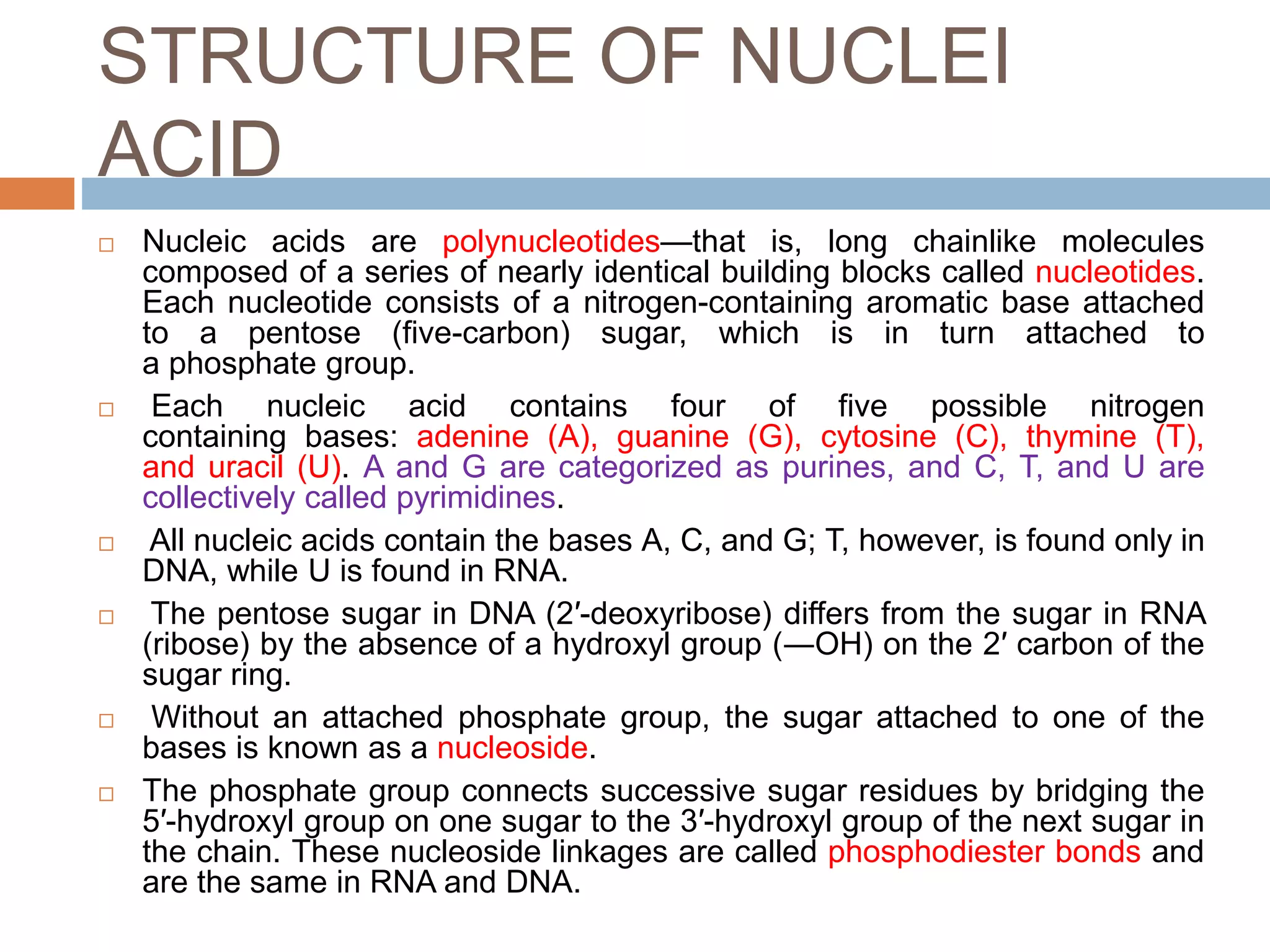 Nuclei acid | PPTX