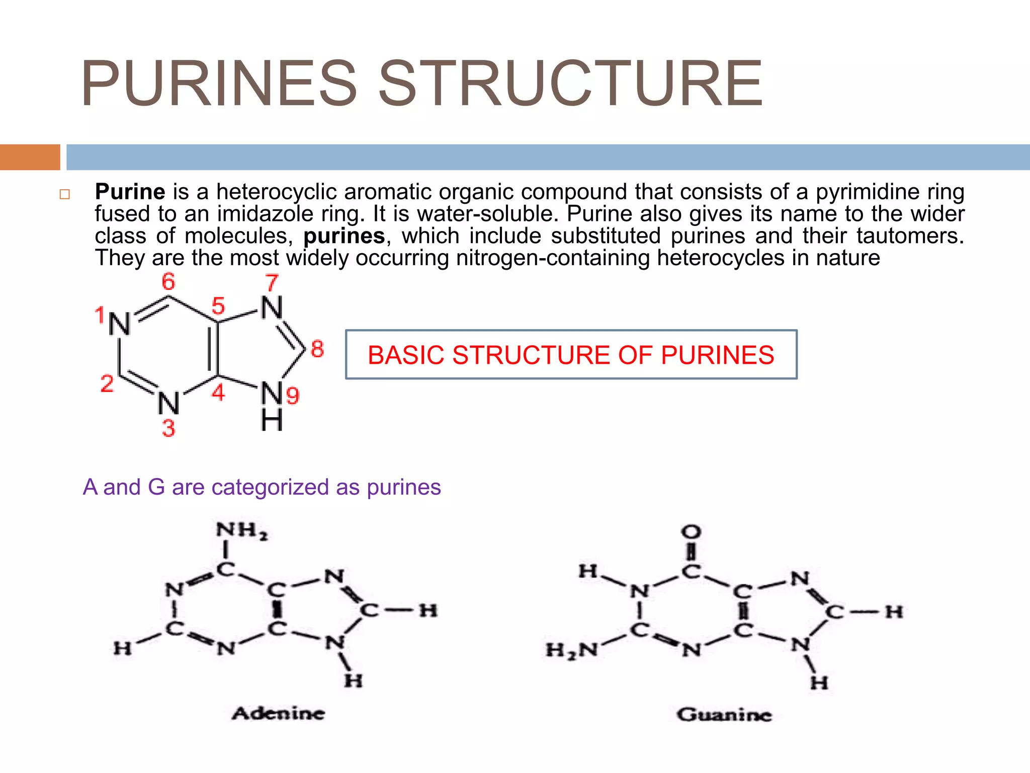 Nuclei acid | PPTX